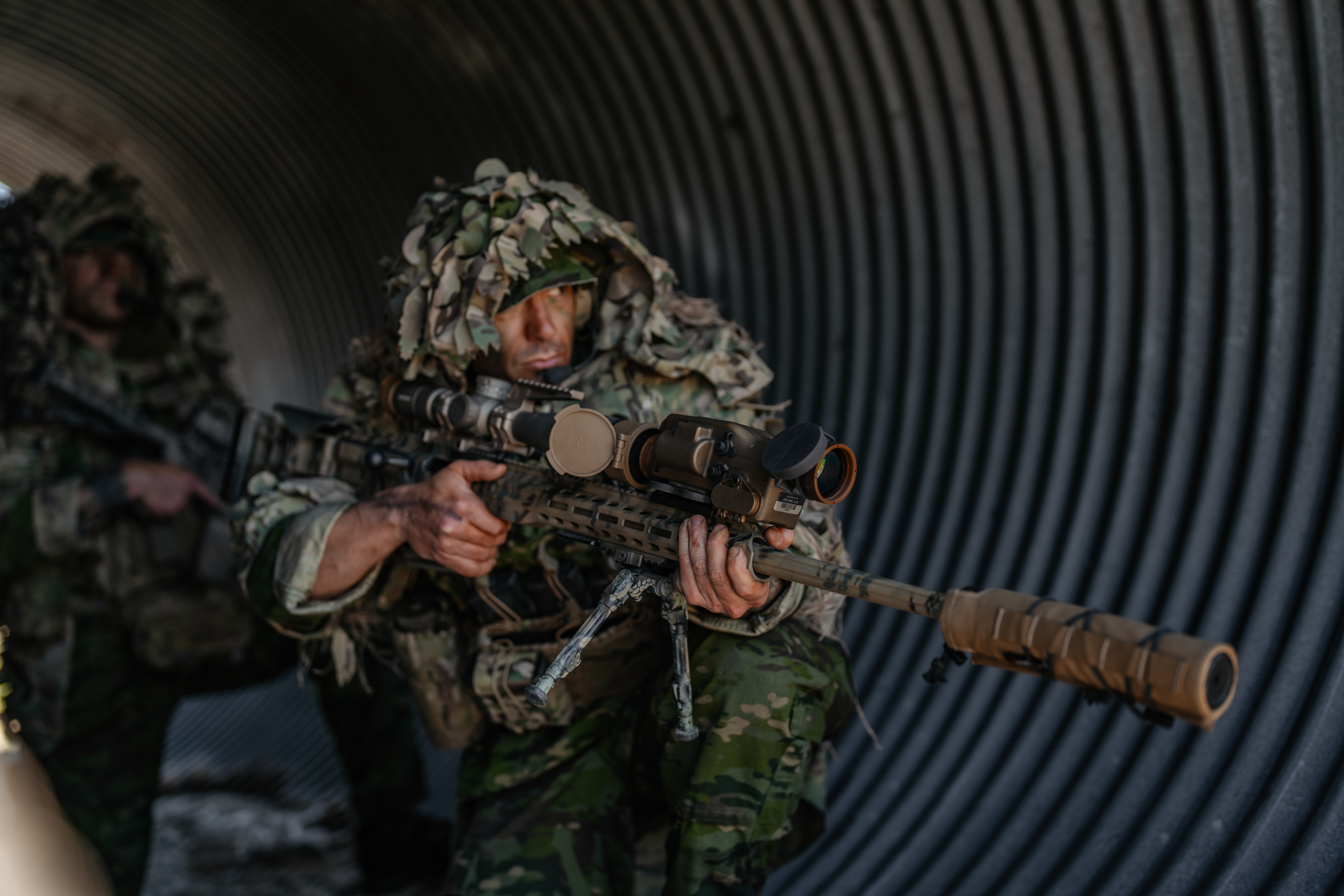 Family of Weapon Sights (FWS) | Leonardo DRS