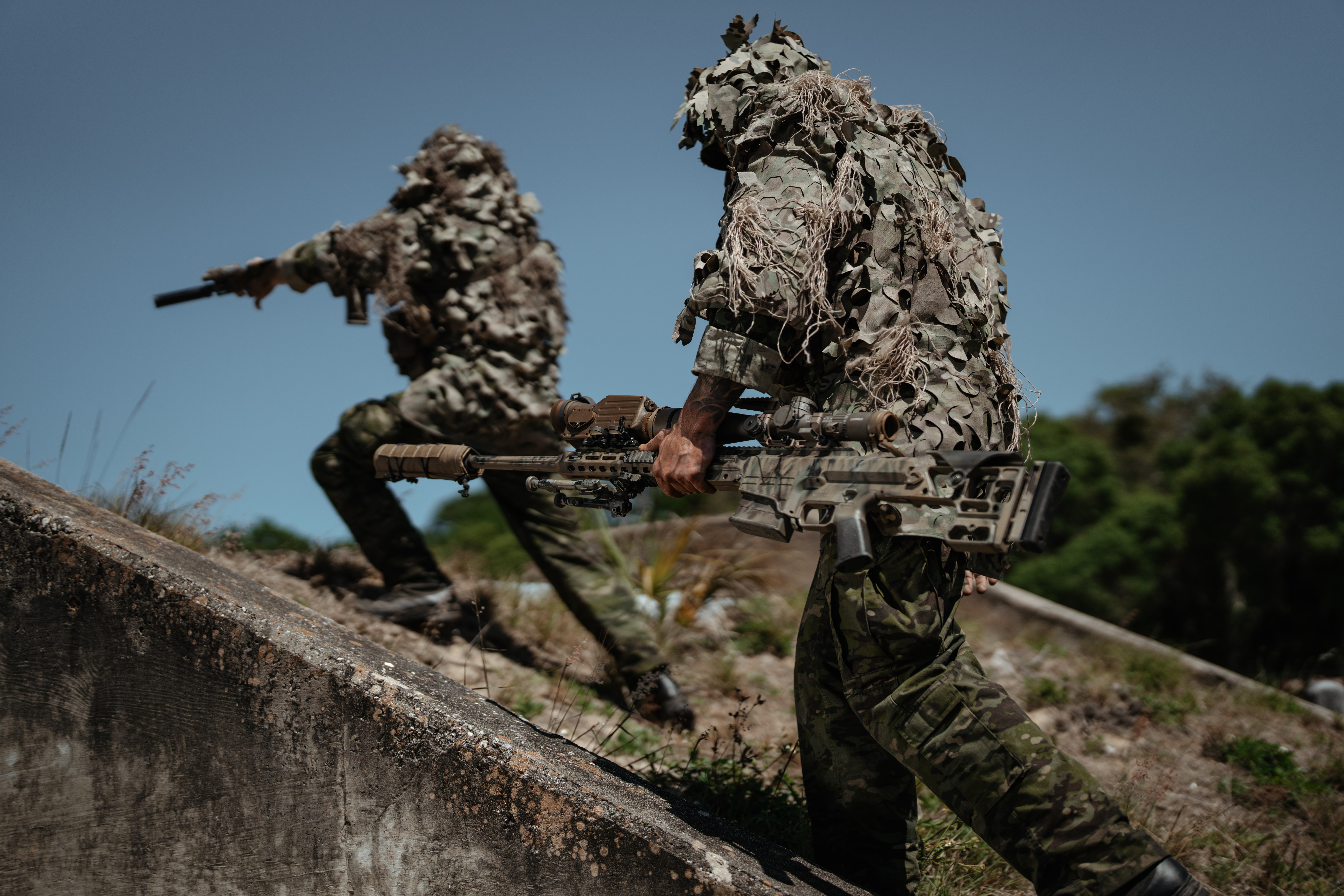 Family of Weapon Sights (FWS) | Leonardo DRS